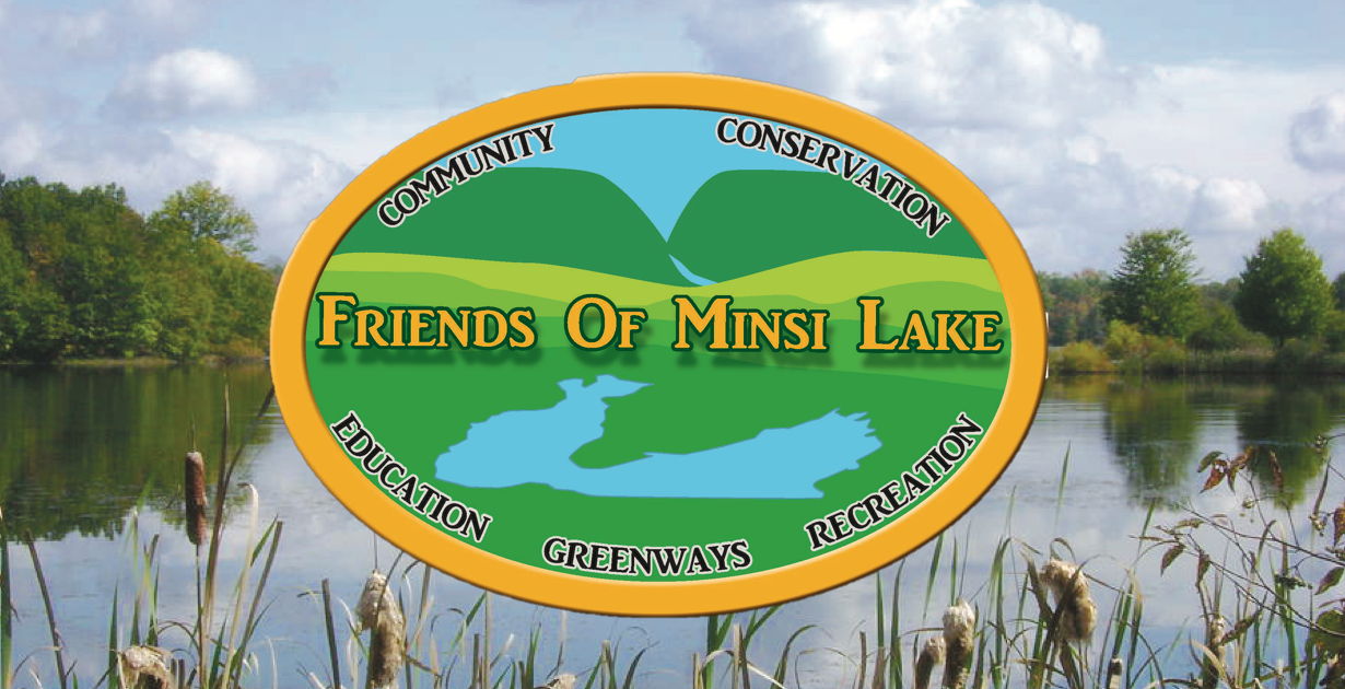 Aquatic Invasive Species (AIS) – NCJCS